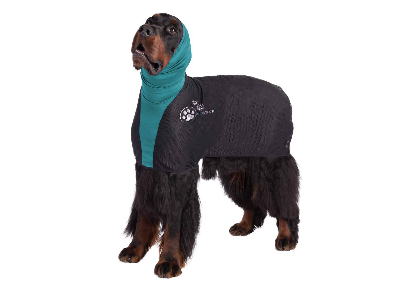 Show Tech+ Mesh Straightening Coat for dogs