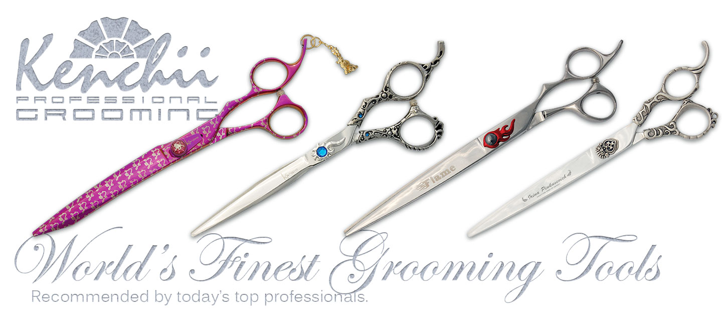 Scissors Kenchii Scissors