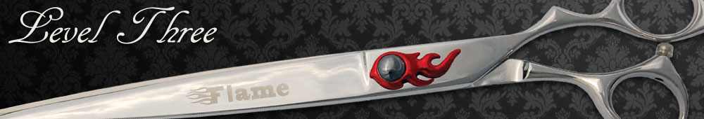 Scissors Kenchii Scissors Kenchii Level Three